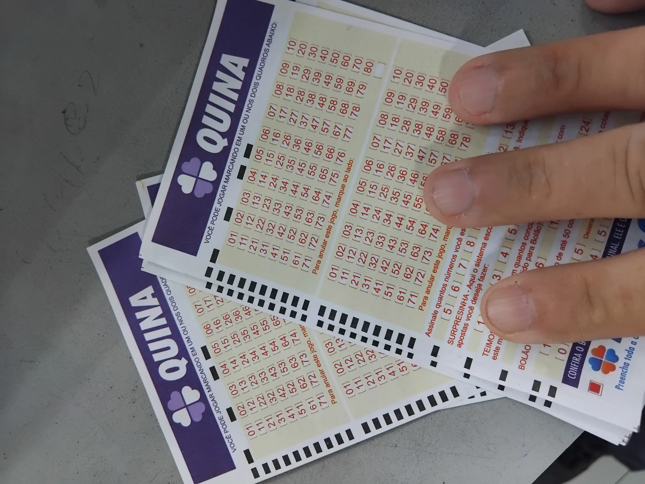 Quina distribui mais de 113 mil prêmios no concurso 6765 - Diário do Pará